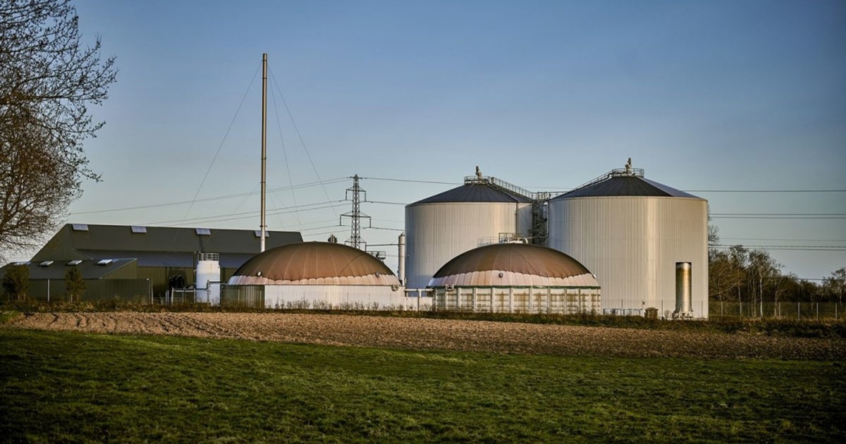 Solrød Biogas og CP Kelco: Klyngesamarbejde med en stor gevinst til alle